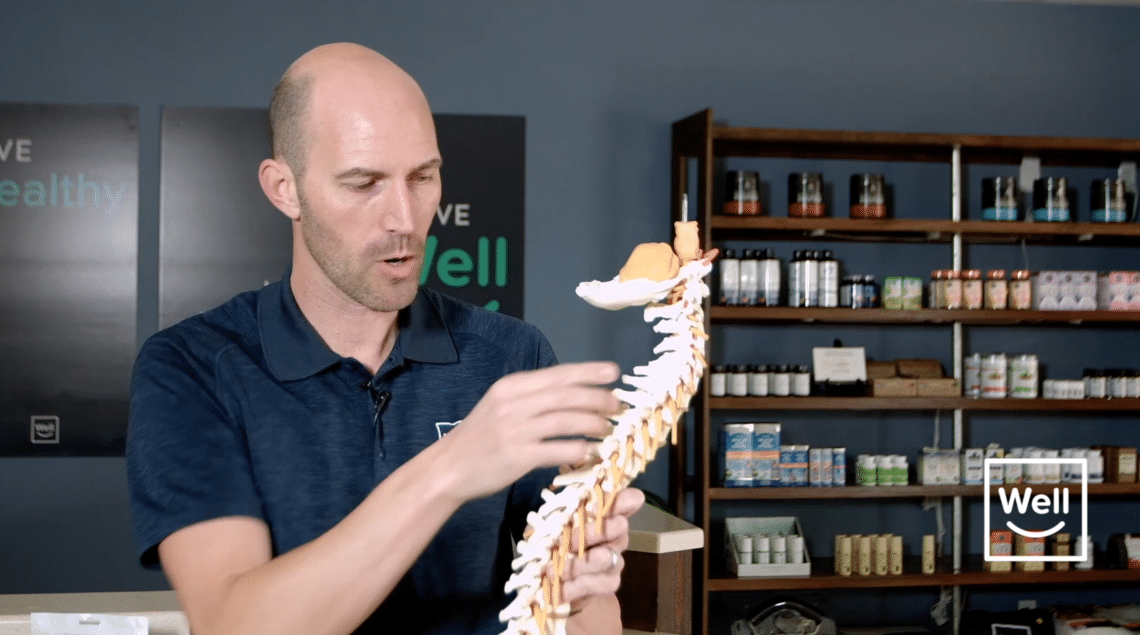 Why You Should Contact Your Chiropractor First About Back Pain - Well ...